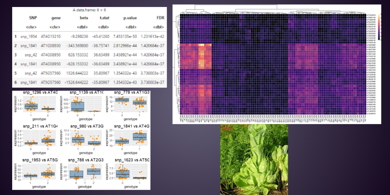 GitHub - miggyboy96/Final-Year-Project: My final year Natural Sciences ...