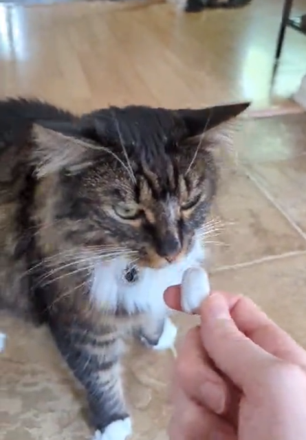 GitHub - vinegarhq/merlin: Open-source telemetry collection tool and ...