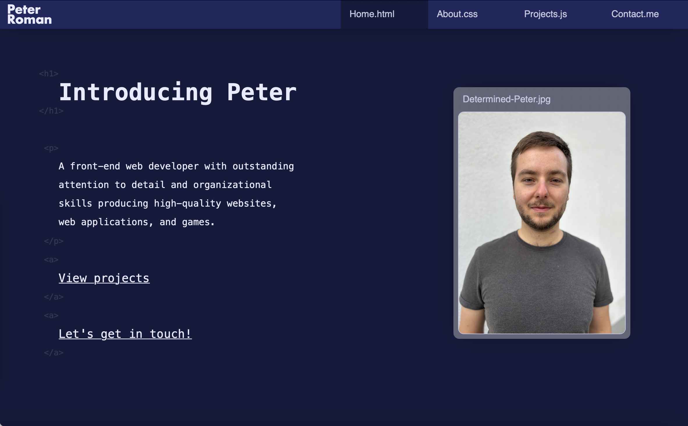 GitHub - peterRomanDev/Peter-Roman-Portfolio: This is a repository for my portfolio website.