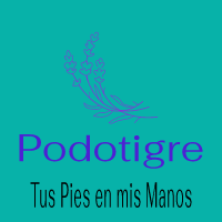 GitHub - Vicamix/podotigre: web principal