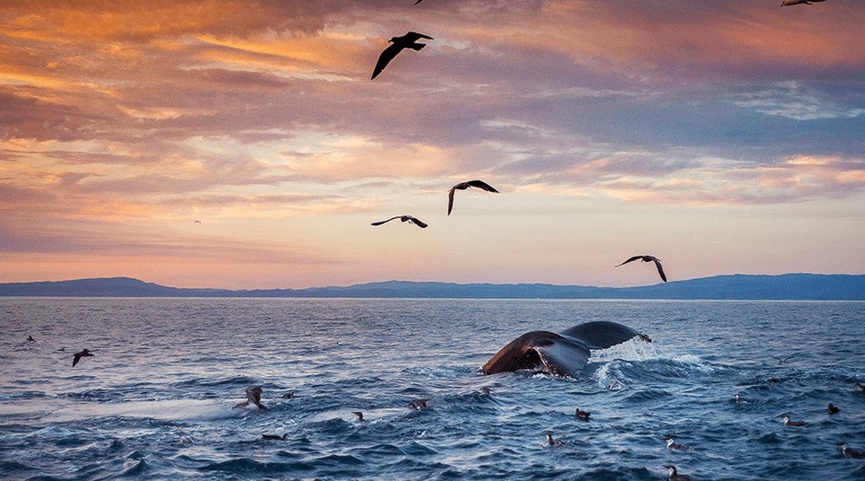 GitHub - studyinUAE/storys24