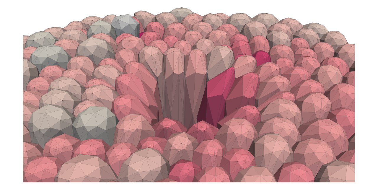 GitHub - Pablo1990/pyVertexModel: 3D vertex model allowing scutoids