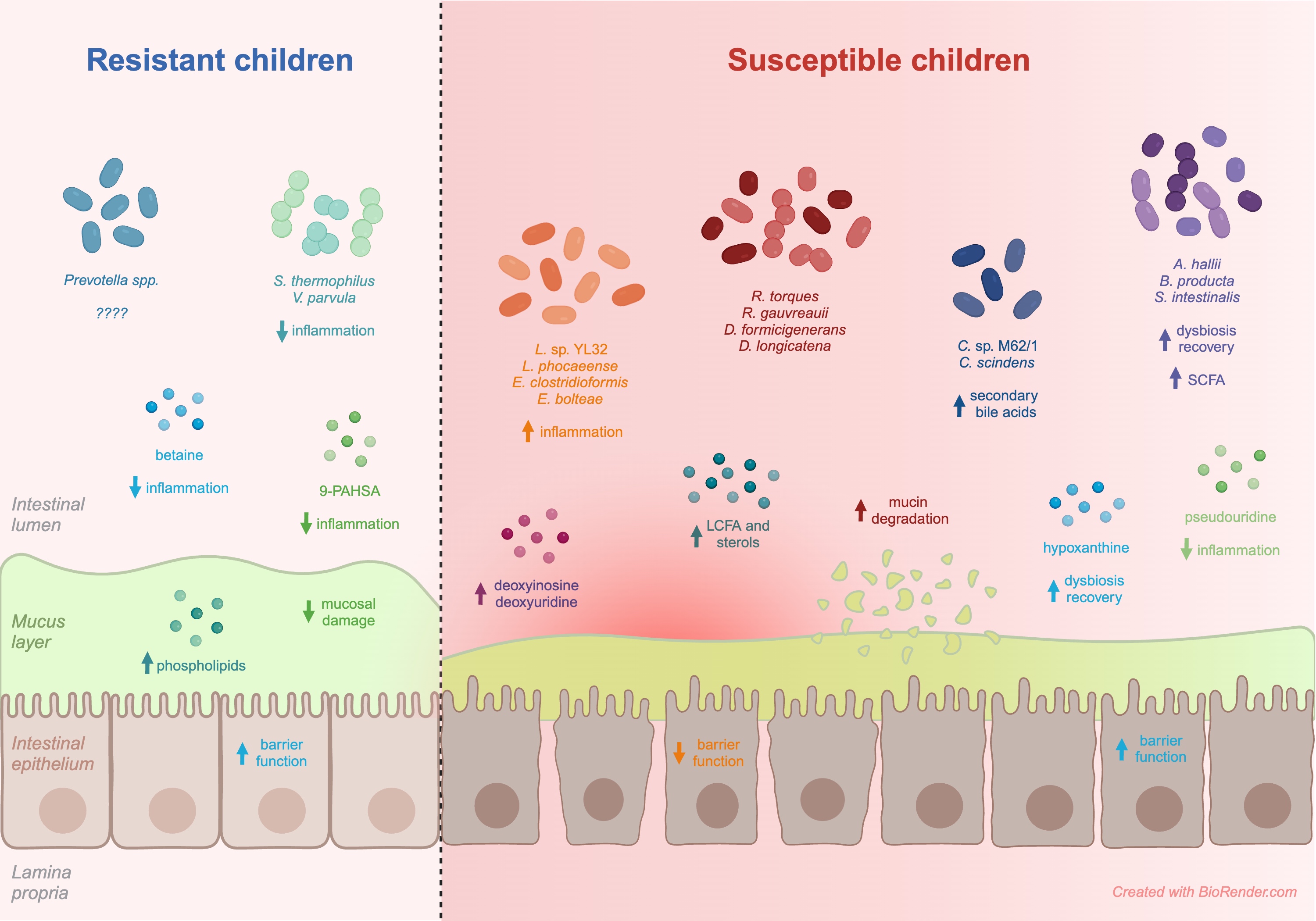GitHub - kmvanden/microbiome_malaria_Mali