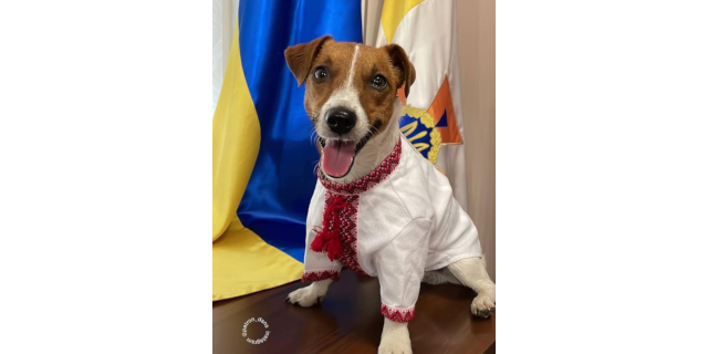 GitHub - paiv/fci-breeds: List of dog breeds recognized by the FCI