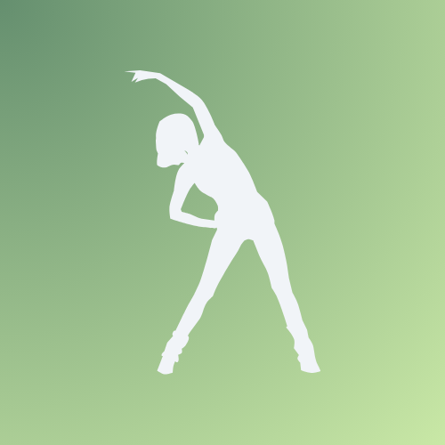 GitHub - lenawuu/physio: A physical therapy routine app made with Flutter.