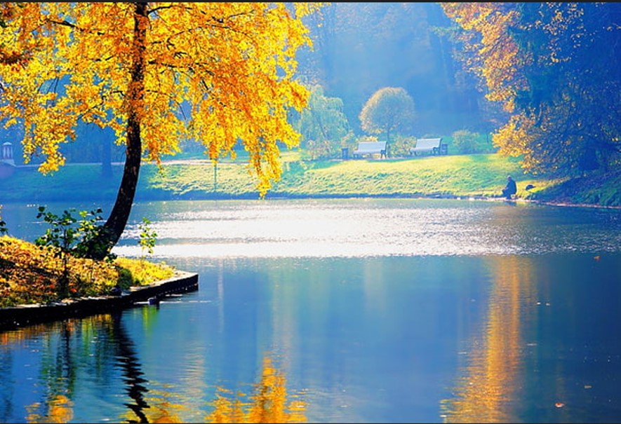 GitHub - studyinUAE/storys52