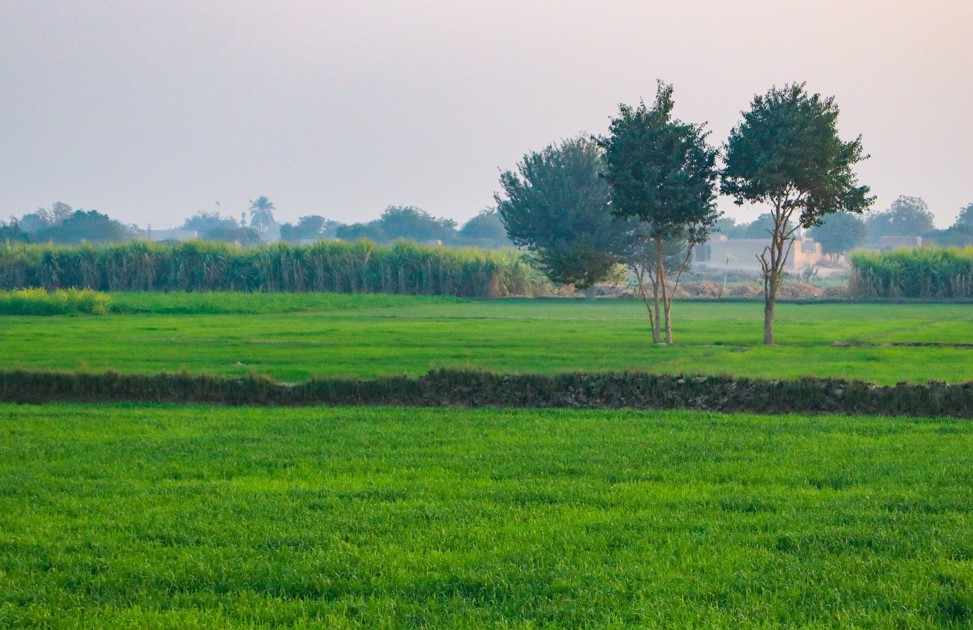 GitHub - studyinUAE/storys64