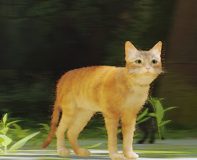 Github Spacecatto Spacecatto Github Io