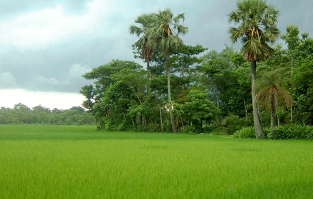 GitHub - studyinUAE/storys80