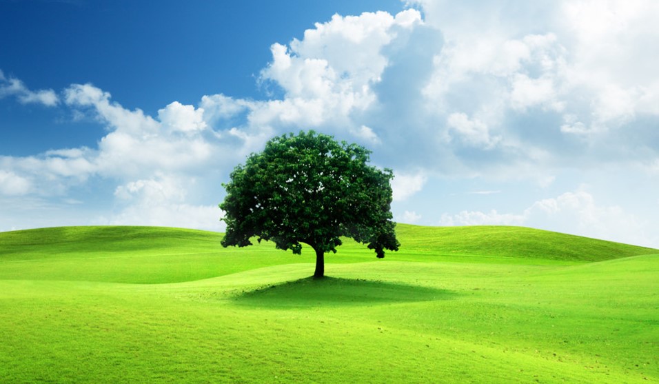 GitHub - studyinUAE/storys85