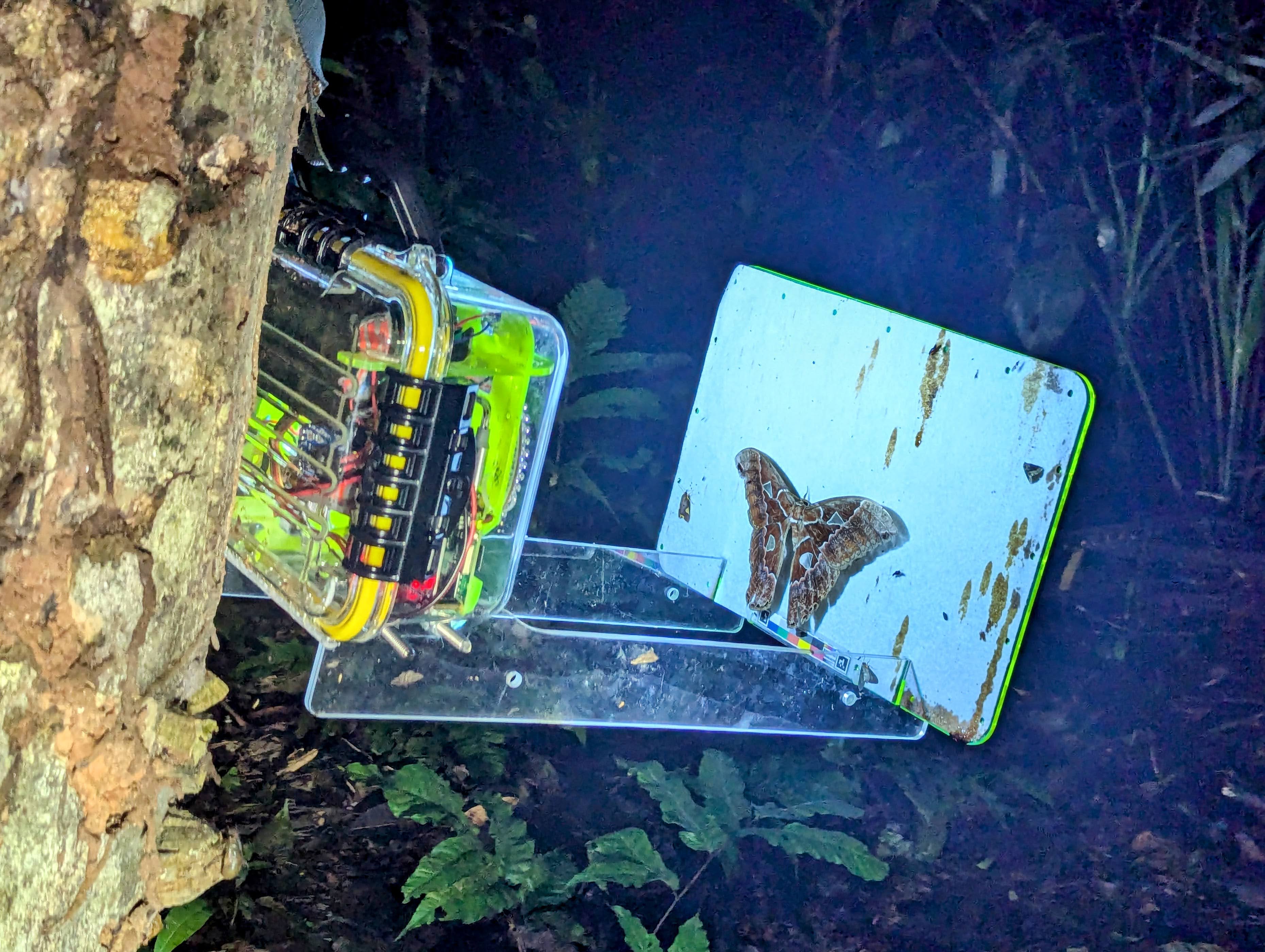 GitHub - Digital-Naturalism-Laboratories/Mothbox: Developing an open ...