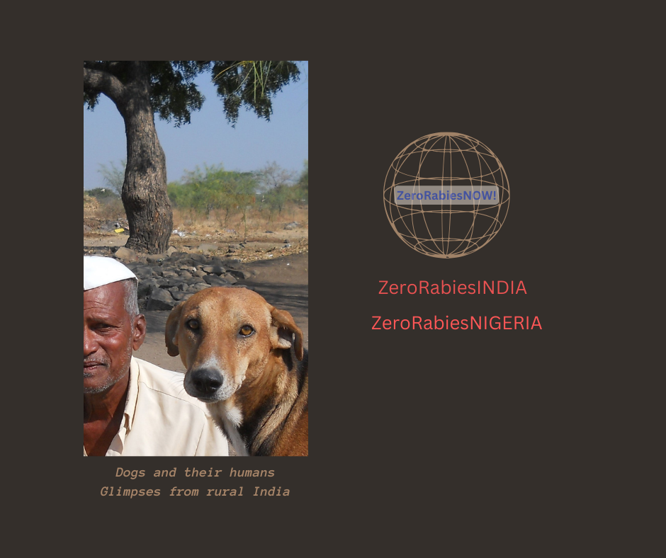 GitHub - anyadoc/ZeroRabiesApp: A shiny app for equitable access to lifesaving postbite treatment