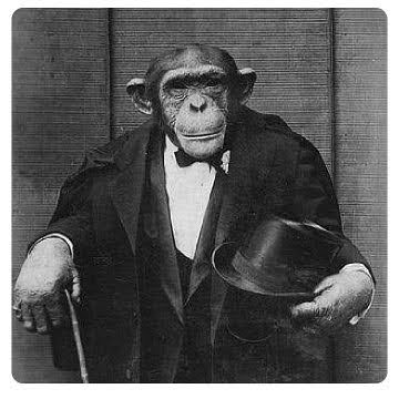 GitHub - august0-m/IP-Guias_y_parciales: guías y parciales resueltos de ...