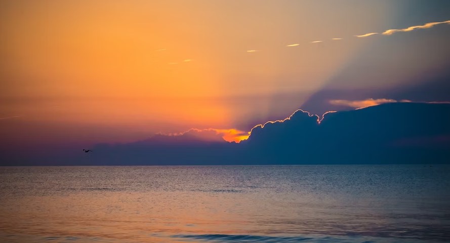 GitHub - topjob24/story24