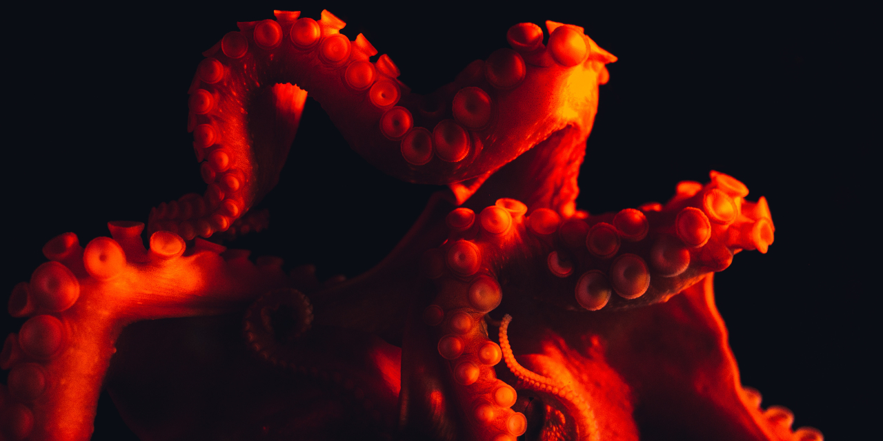 GitHub - jcerretani/AprendizajePorRefuerzo