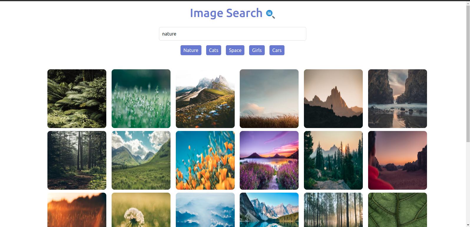 GitHub - TZ113/unsplash-image-search