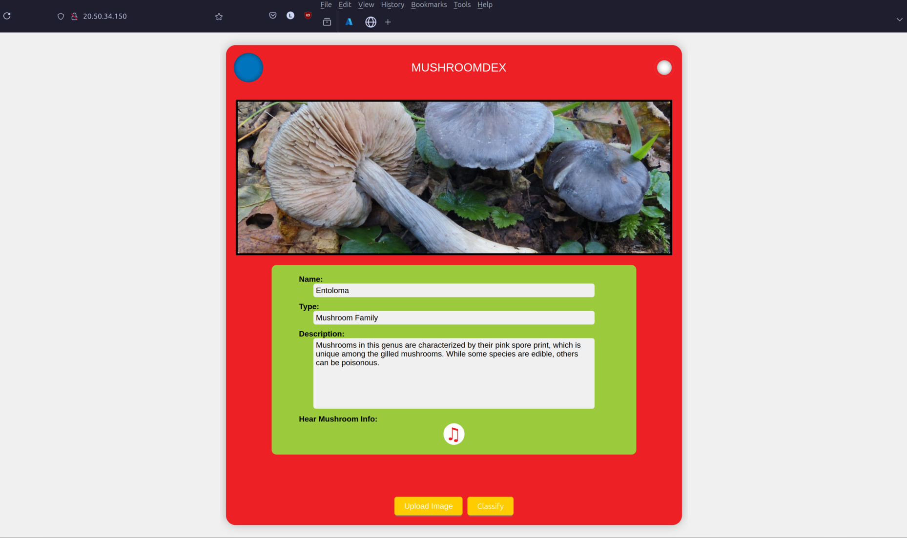 GitHub - driessenslucas/MLOps-Mushrooms-pipeline: final project for my ...