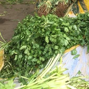 GitHub - lichen-community-systems/sewa-saamarth: Repository for SEWA's Saamarth project ...