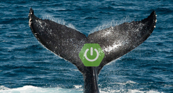 Github Jacomac Spring Boot Rest Template A Template To Quickly Get Up And Running With A