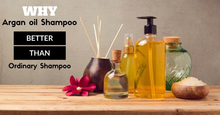 Github Studyinuae S 2