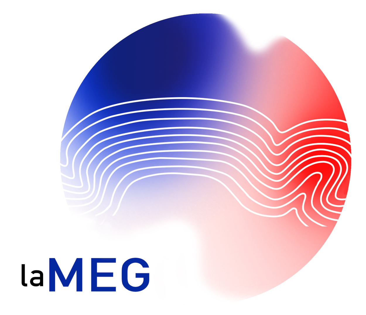 GitHub - danclab/laMEG: Toolbox for laminar inference with MEG