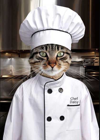 GitHub - salehzarora/work1: blah blah blah blah