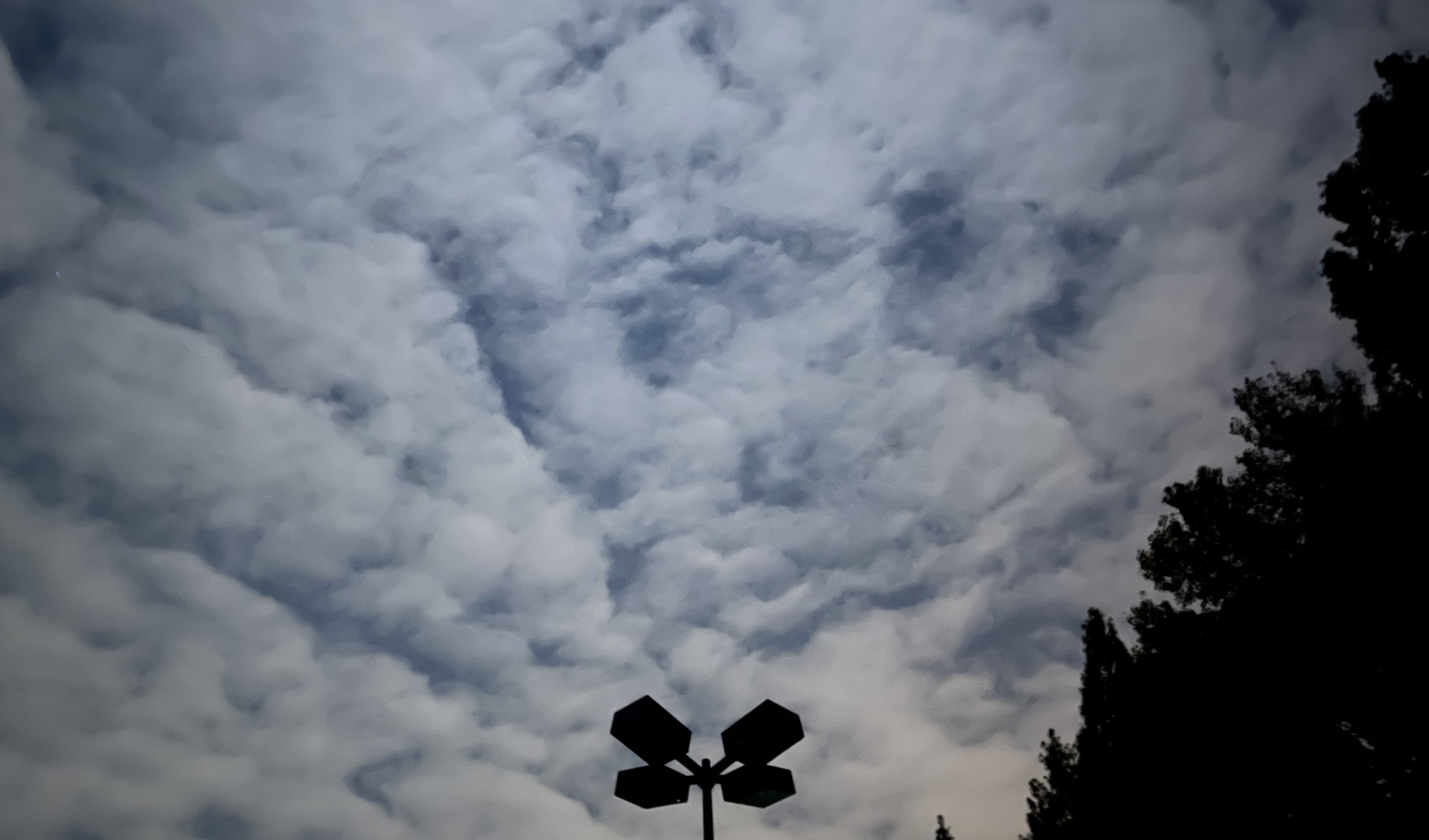 Github Ziqialex Ziqi Github Io My Clone Repository