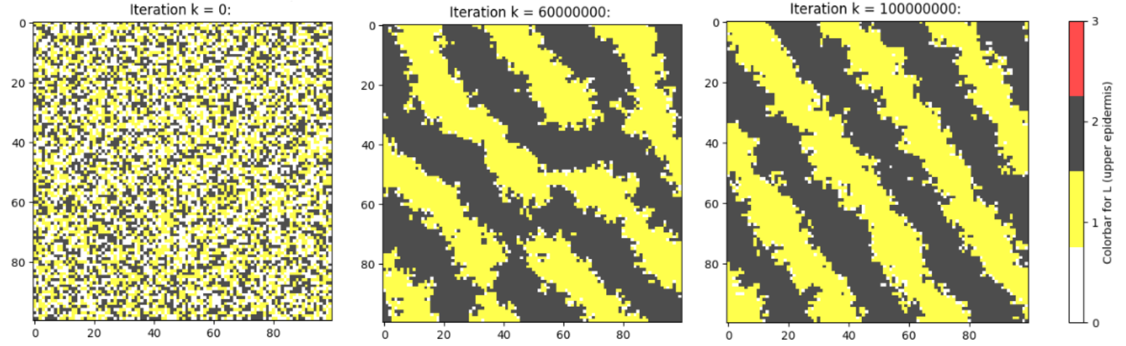 GitHub - lunelys/simulating-dynamical-systems: Script to simulate the patterns on the zebrafish ...