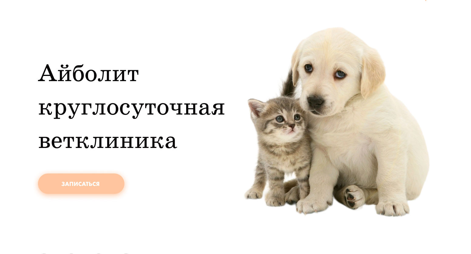 GitHub - Ann-Philippova/Aibolit-Web