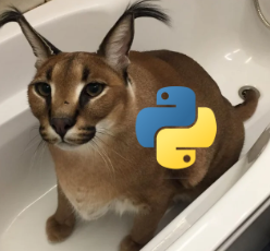 GitHub - ShySkill/StartupMacro: Utilized for BSS on Roblox; opens up ...