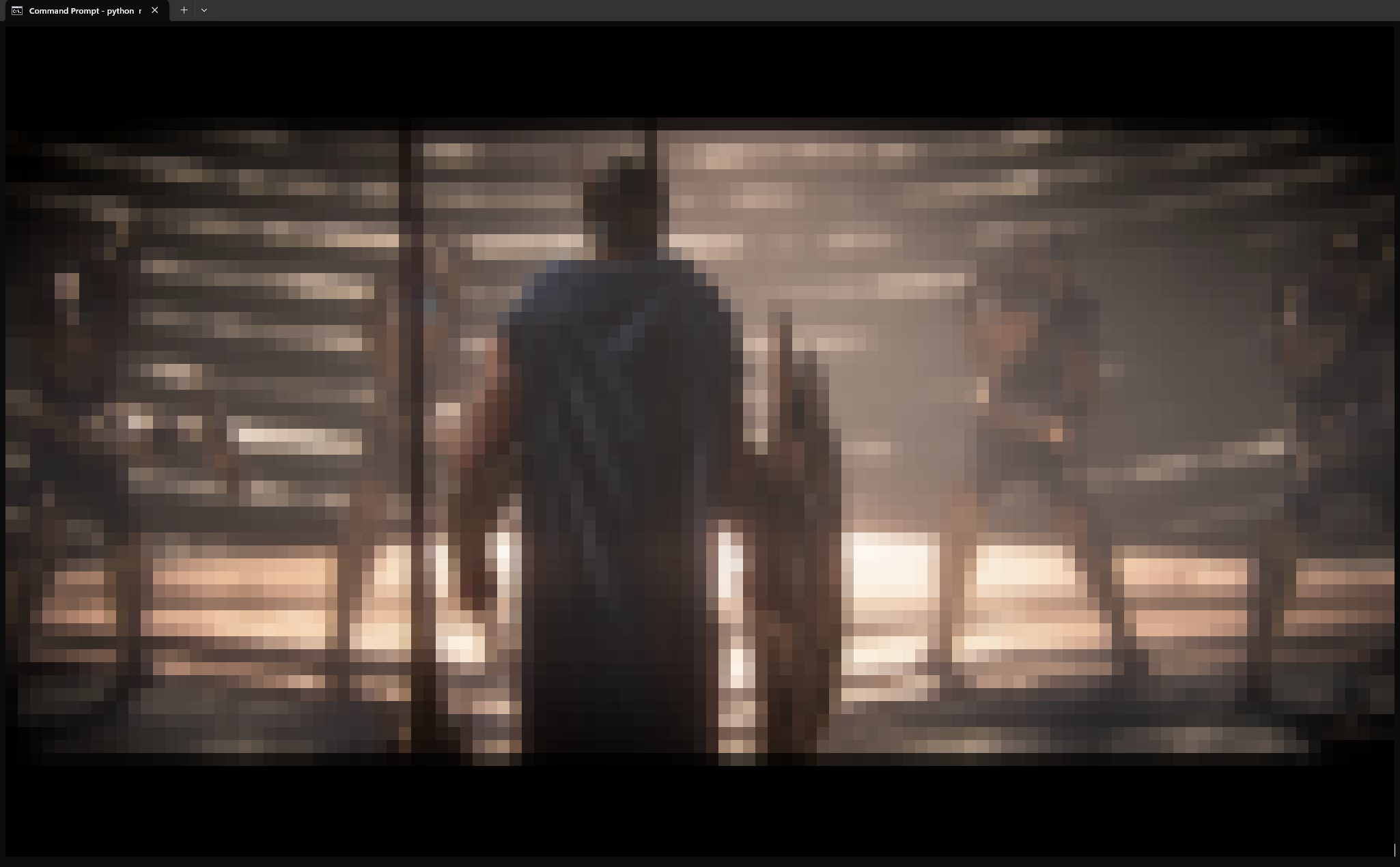 GitHub - Marco4413/TermVideoPlayer: A Video Player for the Terminal written in Python.