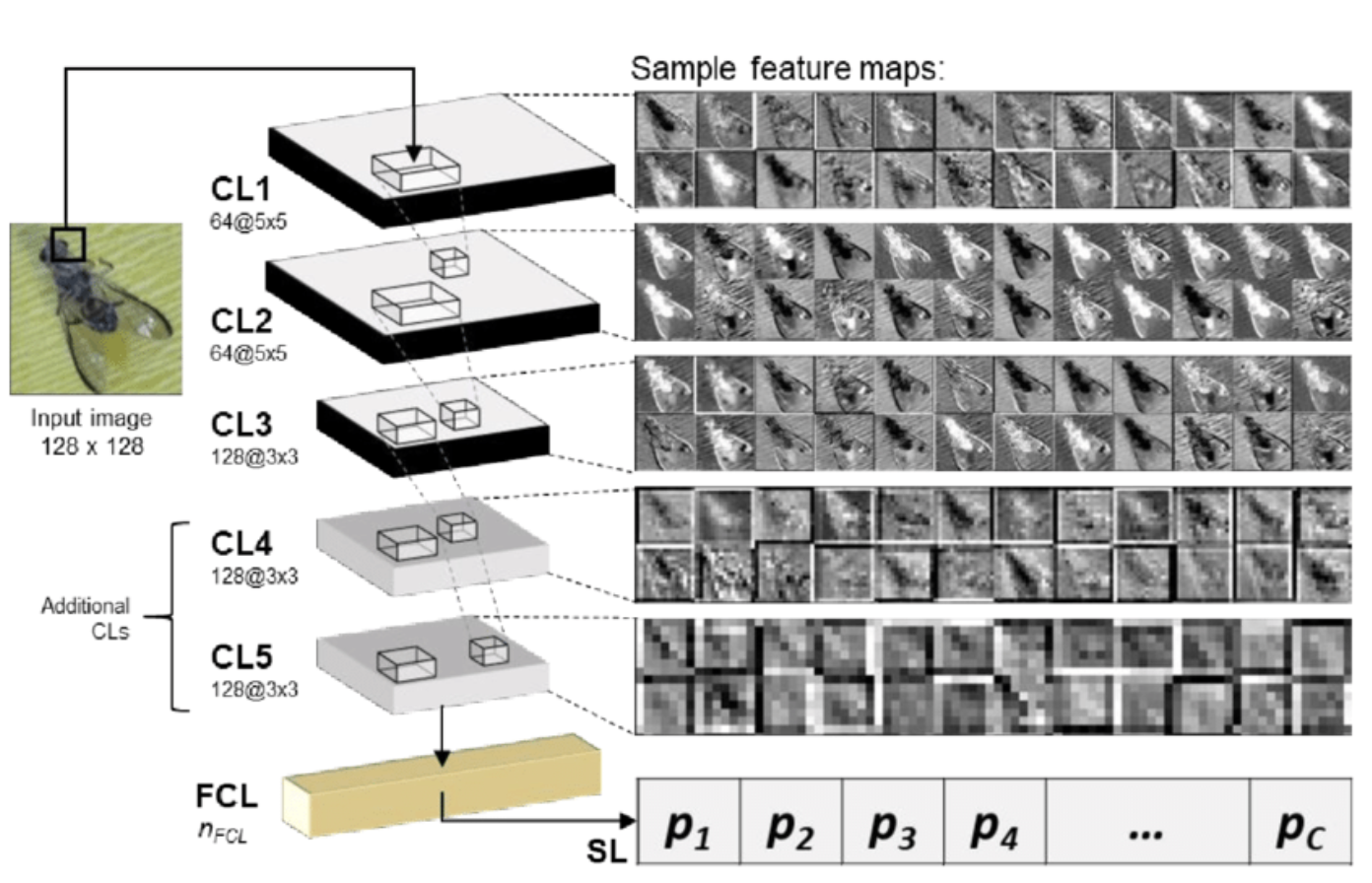 GitHub - churuand/AI-CNN-Agriculture-Images