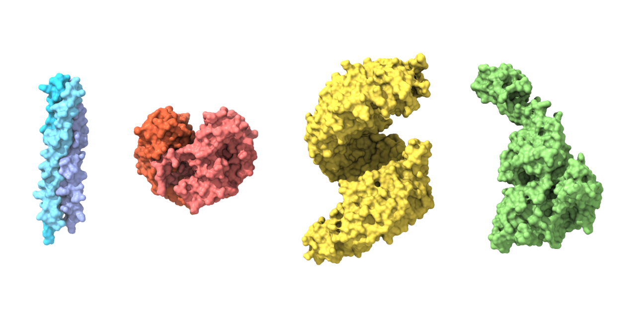 GitHub - mpavsic/sbio: Struktura proteinov [UL FKKT]