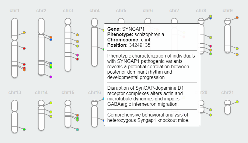 GitHub - daniloimparato/chromosummary: A D3.js visualization tool for ...
