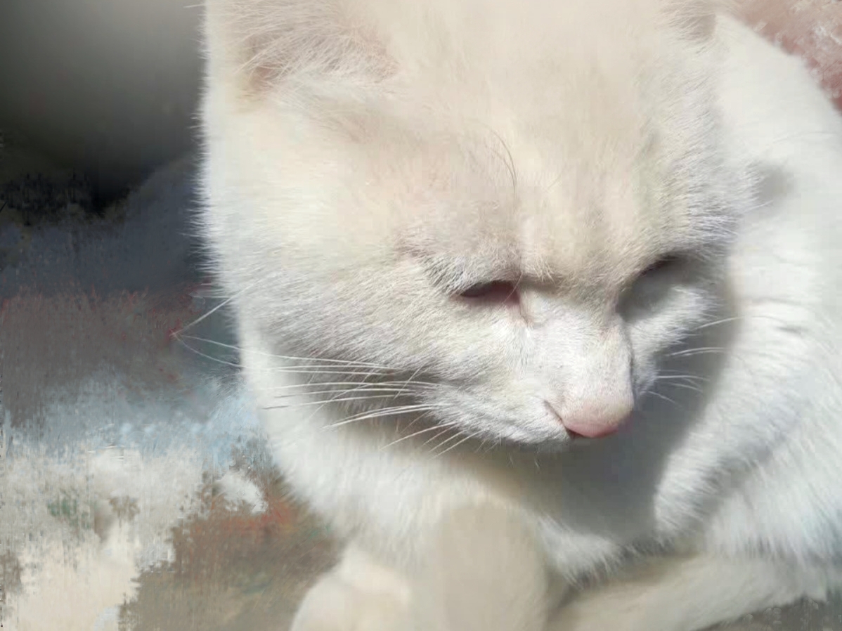 GitHub - A13869745008/Furry