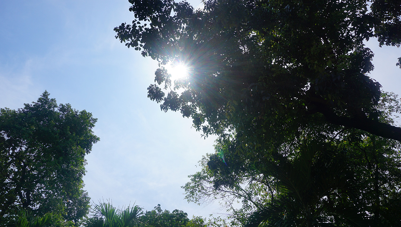 Github Belajarkelompok Todaybigdata Today Big Data 2024