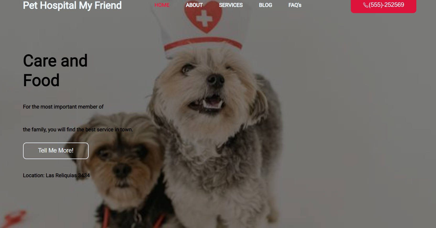 GitHub - rb555/pethospital