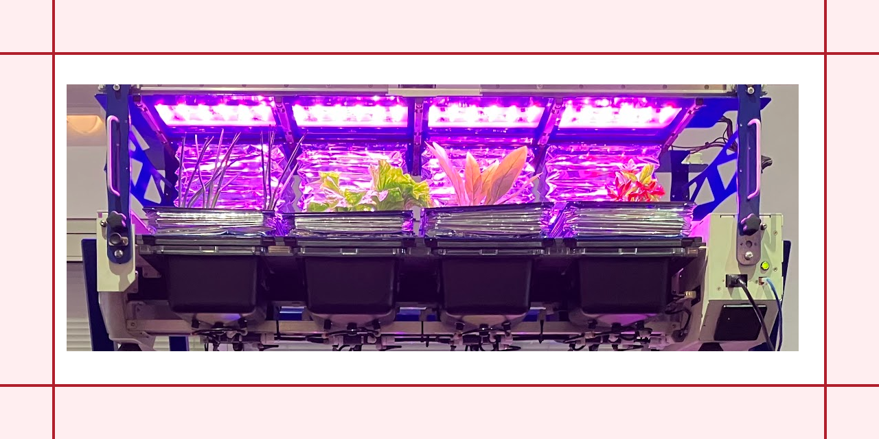 GitHub - dr-richard-barker/pseudo_time_series: MATRIX5 metadata for GeneLab Plant AWG meta-analysis