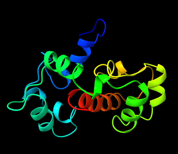 GitHub - riccaran/ProteinMotionMaps: This project aims to identify structure clusters in ...