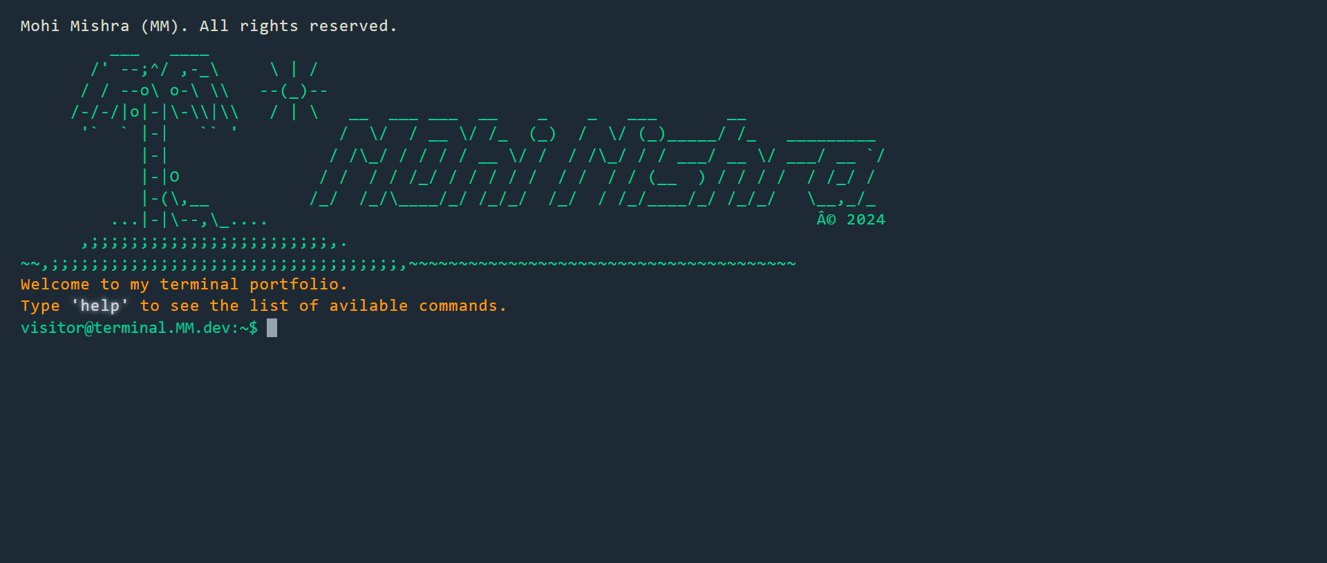 GitHub - mishra016/terminal-portfolio