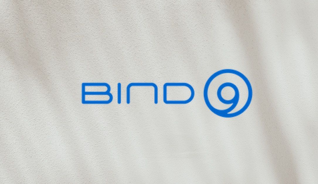 GitHub - Vertirose/auto-dns: If you are too lazy to set up bind9 you can use this script