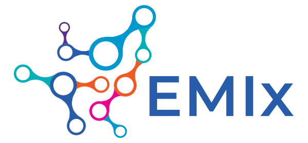 GitHub - pietrobe/EMIx: Framework for EMI-type simulation in complex ...