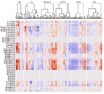 cell-profiling · GitHub Topics · GitHub