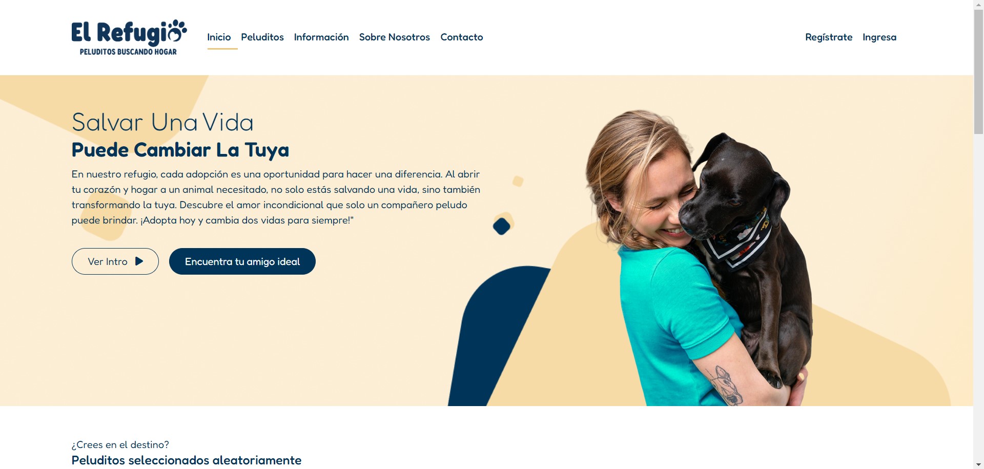 GitHub - IlariaBa/El-Refugio