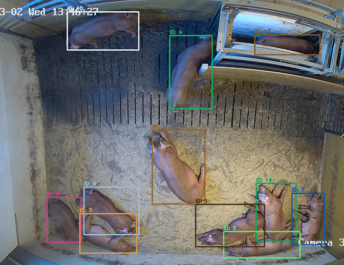 GitHub - moosa1296/effdet_ocsort