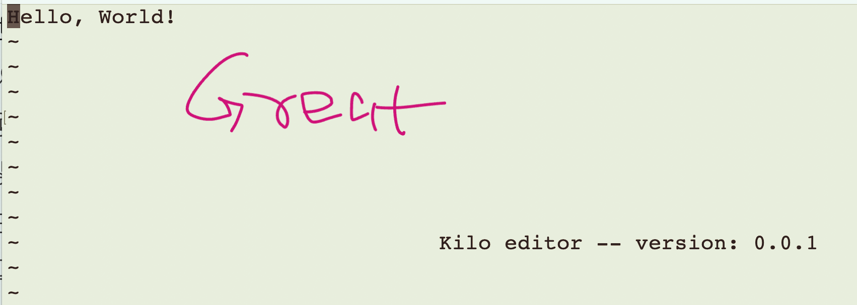 GitHub - forfd8960/kilo: editor in c