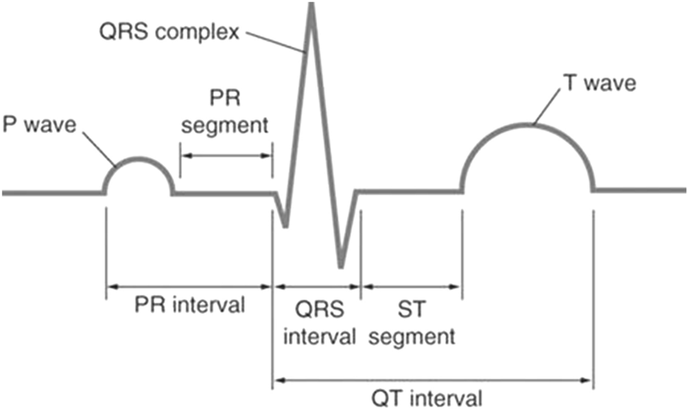 GitHub - gh-kaka22/HeartBeat-Harmony-Analyzer: HeartBeat Harmony Analyzer: A Python-based ...