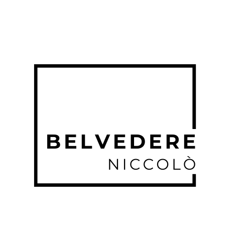 GitHub - NiccoloBelv/Niccolo-Belvedere-Portfolio