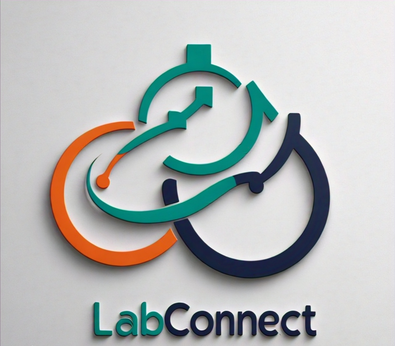 GitHub - timothysaatum/labconnect
