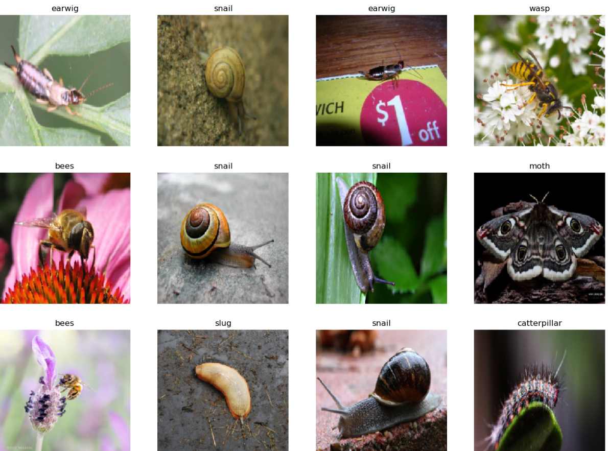 GitHub - Swarna7781/Agricultural-Pest-Classification